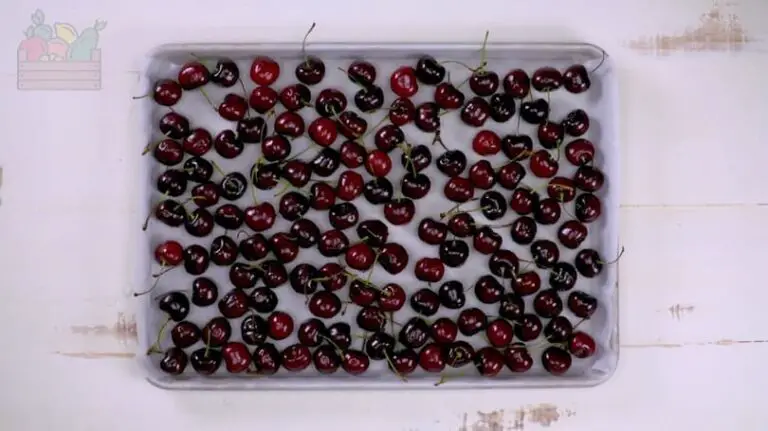 Las 3 mejores formas de Conservar Cerezas 🍒 | Conserva Todo