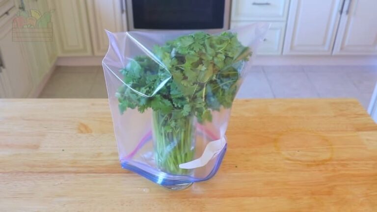Cómo Conservar Cilantro (Picado, Fresco, Seco)【 2024