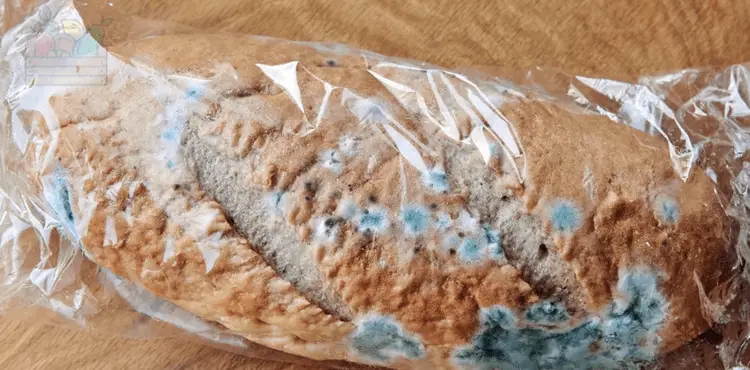 🥪 Como Conservar Pan - 4 tips imperdibles 🥖| Conserva Todo